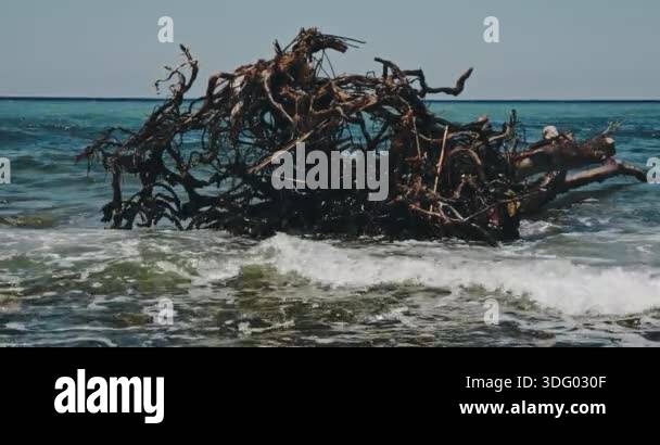 Dark gloomy waves of cold north sea. Arctic cruise to Nothern side ...