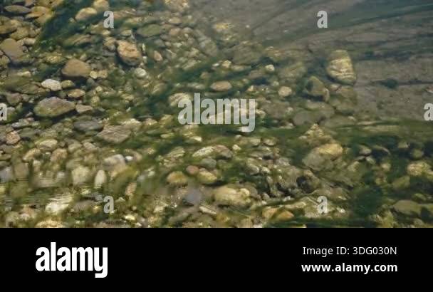 Dark gloomy waves of cold north sea. Arctic cruise to Nothern side ...