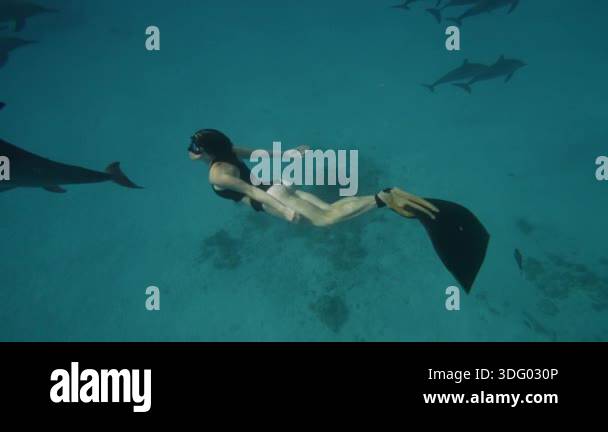 Beautiful young woman swimming underwater with dolphins in pristine ...