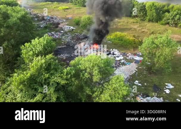 A forest with a fire burning in the middle. The fire is surrounded by ...