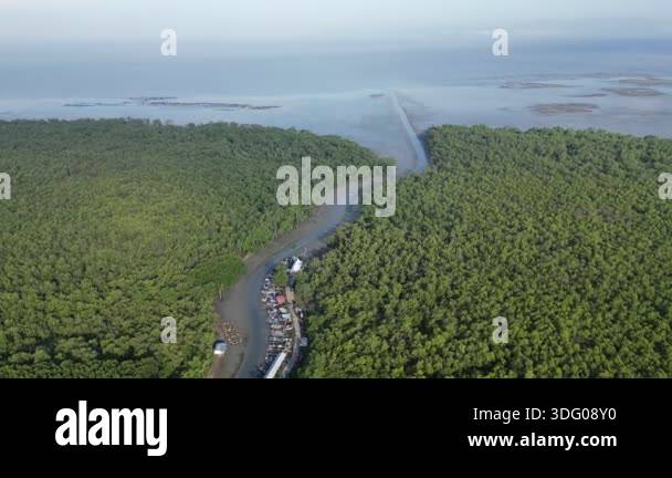 A river with a green forest on either side. The water is calm and clear ...