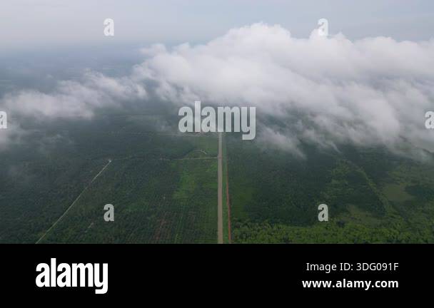 A long road with trees in the background. The sky is cloudy. The road ...