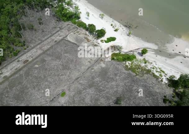 A beach with land clear forest in the background. The beach is sandy ...