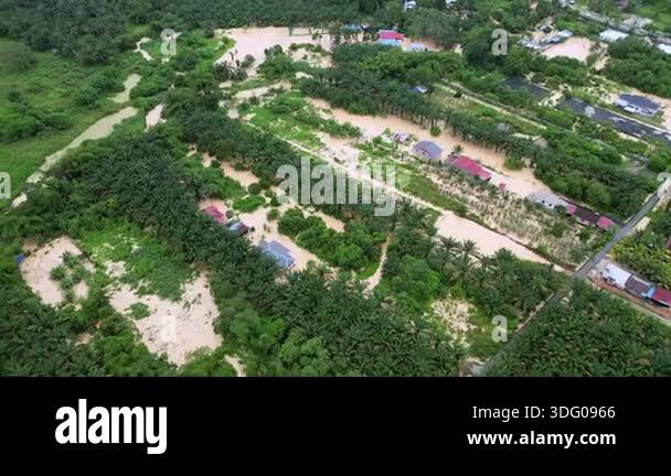 Aerial view flood Junjung, KedahA flooded area with houses and trees ...