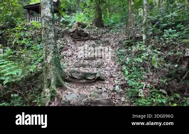 A path with a stone staircase leading up to a building. The path is ...