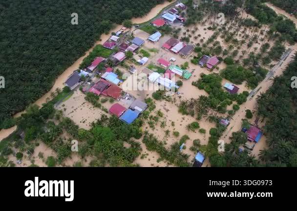 A flooded area with houses and trees. The trees are in the background ...