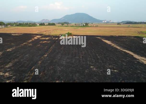 A field with a mountain in the background. The field is brown and dry ...