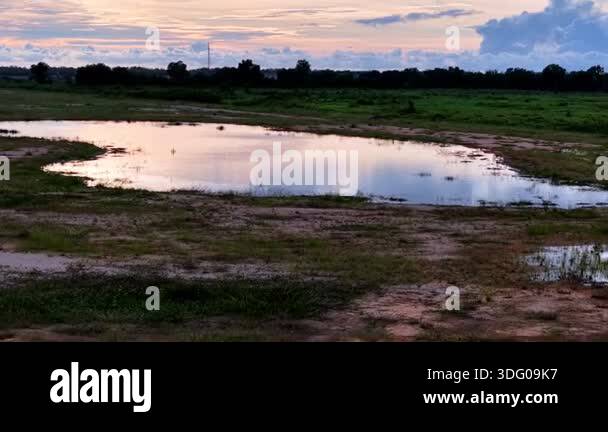 A pond with a reflection of the sky. The sky is orange and pink. The ...