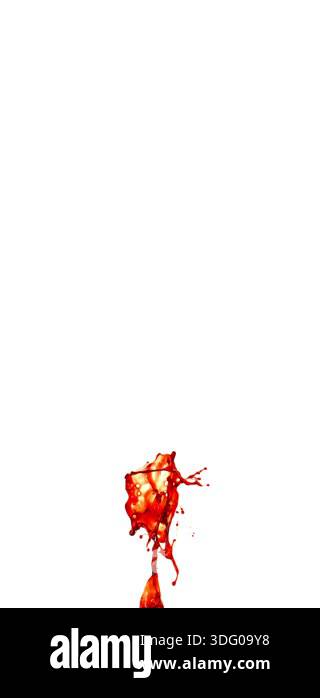 Blood Down Up Splashes in Super Slow Motion. Isolated on White ...