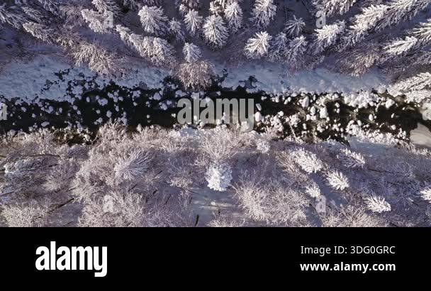 Static shot over a snow-covered alpine stream. Flowing icy water ...