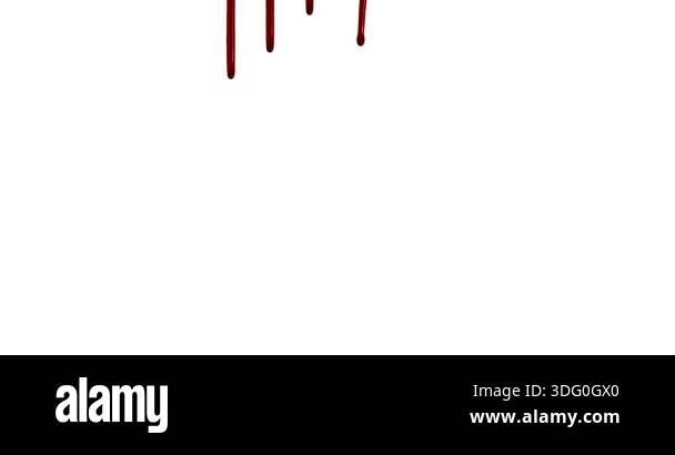 Slow Motion Shot of Red Blood Flowing in Thin Streams on a Clean White ...