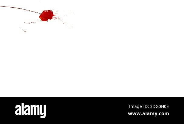 Blood Splash in Super Slow Motion. Isolated on White Background. High ...
