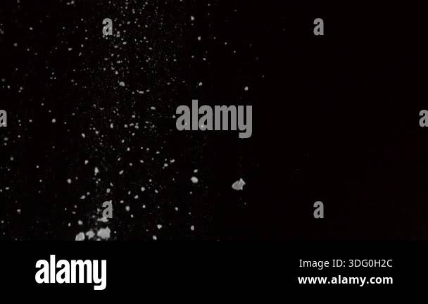 White powder flour or sugar falling and sifting against black ...