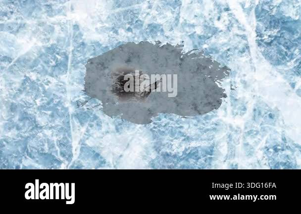 Frozen window melting animation . Defrost dissolve transition on black ...