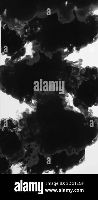black ink smoke animation on white background grunge transition liquid ...