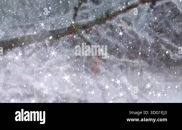 Snowfall in Winter Forest, Falling Snow Animation Stock Video Footage ...