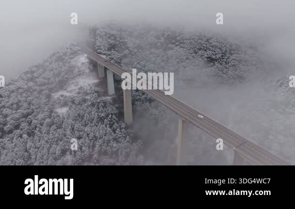 Cars driving on viaduct bridge over snow covered forest in winter ...