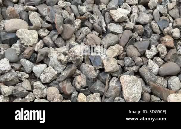 background from pebbles for design. gravel. a stretch of small stones ...