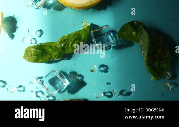 Lemon slices, fresh basil leaves, and ice cubes are artfully arranged ...