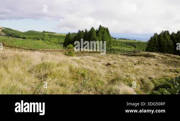 A beautiful view of a forest with the Atlantic Ocean in the background ...