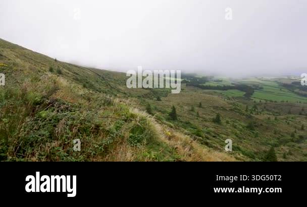A beautiful view of a forest with the Atlantic Ocean in the background ...