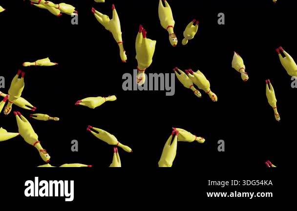 Screaming Chicken Fall with Alpha Channel amd Loop Stock Video Footage ...