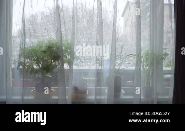 A quiet winter scene from inside an apartment. Potted houseplants sit ...