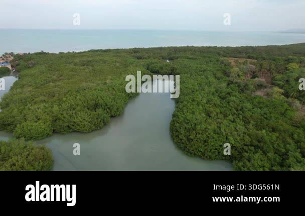 Expansive aerial view of a winding river flowing through a dense ...