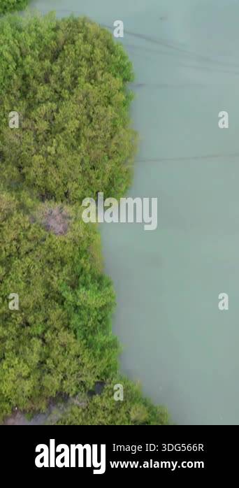 Aerial drone footage flying over a winding river through a lush green ...
