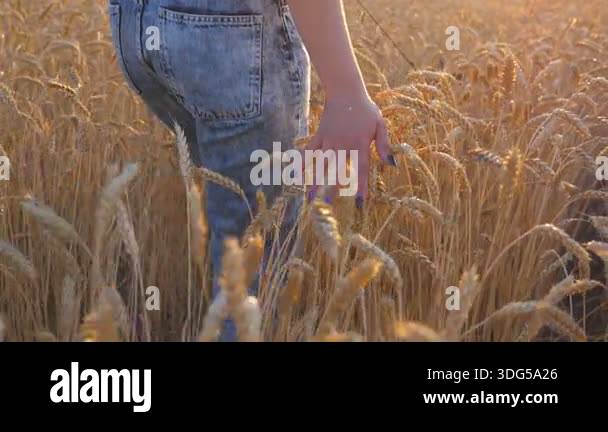 Close up of young girl walking with her siberian husky through the ...