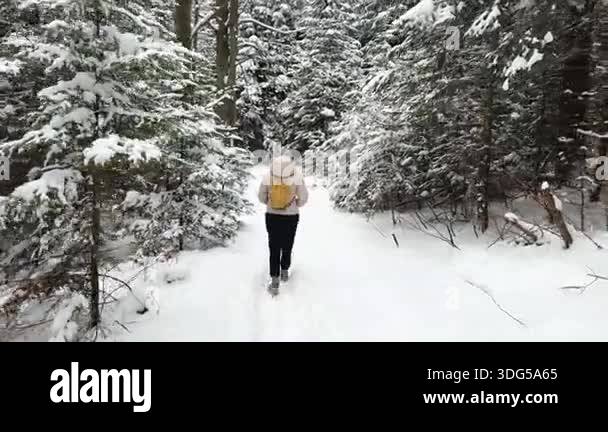 Young woman walking through a snowy forest trail surrounded by tall ...
