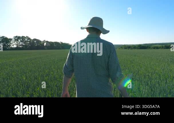 Follow to young male farmer walking over green wheat field on his farm ...