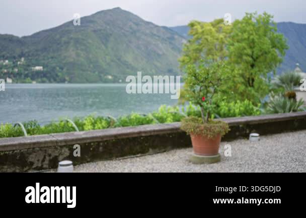 Lake como waterfront defocused bokeh background garden with soft green ...