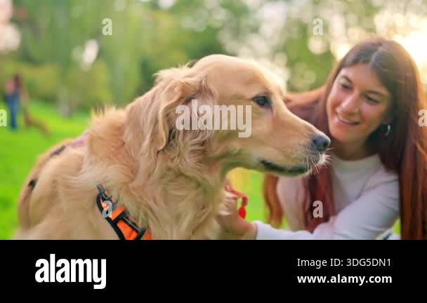 Beautiful young woman smiling and caressing her happy golden retriever ...