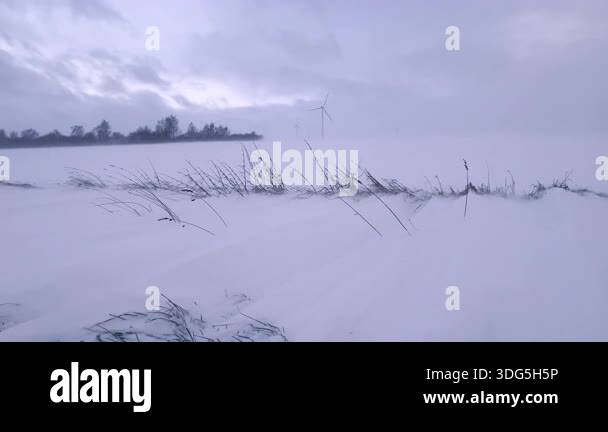 Snow storm on fields at sunset. Rural landscape at blizzard. High ...