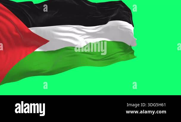 Palestine national flag waving in the wind isolated on green background ...