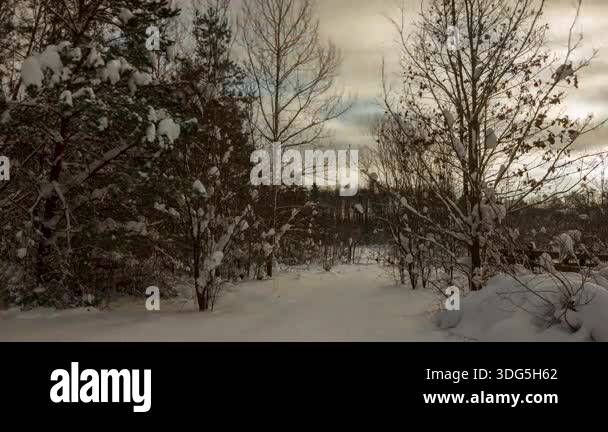 Winter 4k timelapse with snowy landscape. High quality 4k footage Stock ...