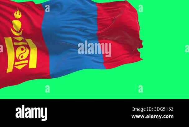 Mongolia national flag waving in the wind isolated on green background ...
