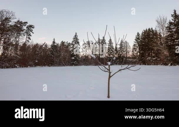 Winter 4k timelapse with snowy landscape. High quality 4k footage Stock ...