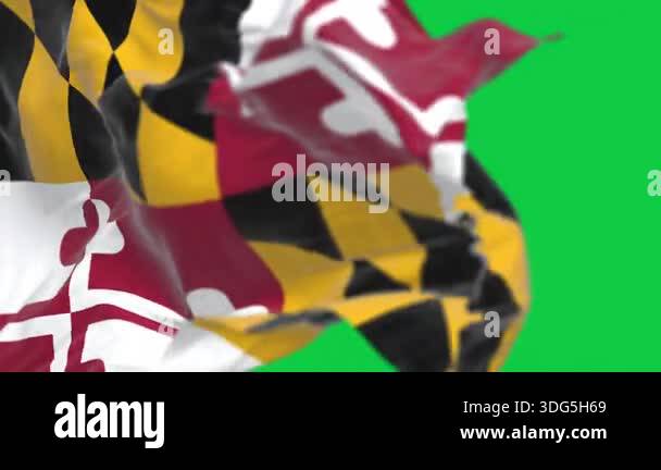 close-up of Maryland state flag waving in the wind isolated on green ...