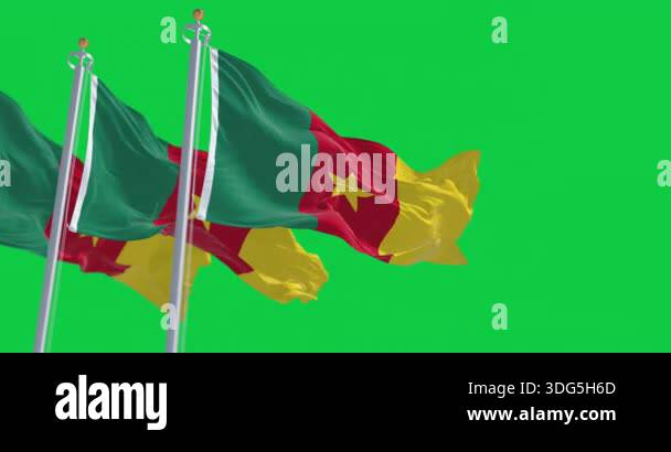 Three Cameroon national flags waving isolated on green background ...