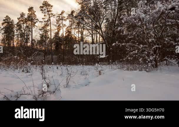 Idyllic winter landscape timelapse. 4k snowy landscape. High quality 4k ...