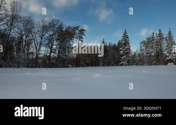 Idyllic winter landscape timelapse. 4k snowy landscape. High quality 4k ...