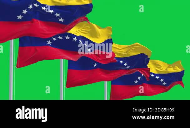 Venezuela national flags waving in the wind isolated on green ...