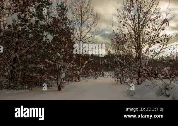 Idyllic winter landscape timelapse. 4k snowy landscape. High quality 4k ...