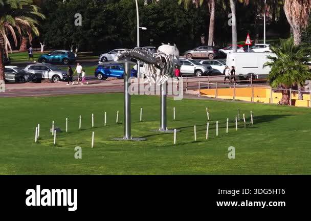 Aerial whale skeleton on columns by palm promenade in Fuerteventura ...