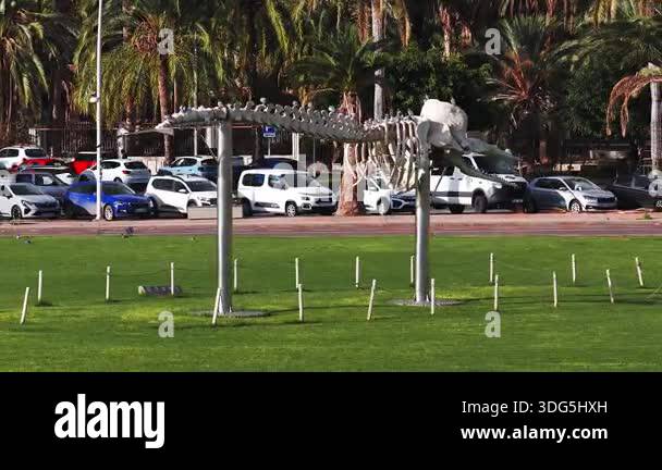 Aerial view shows whale skeleton on stainless steel columns in ...