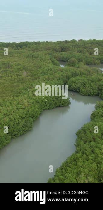 Drone footage following a wooden canoe navigating through a winding ...