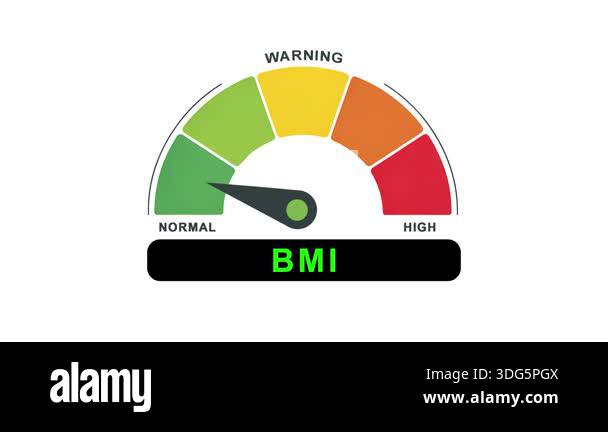 Animated BMI Level Meter Gauge Displaying Normal to high BMI Health ...