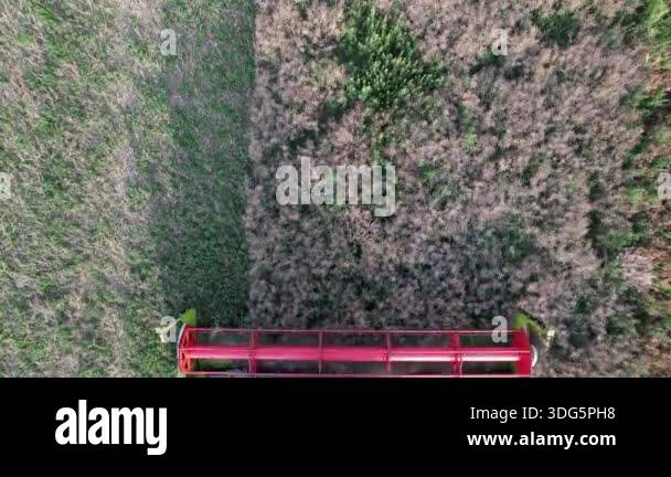 Top-down aerial view of multiple combine harvesters cutting golden ...
